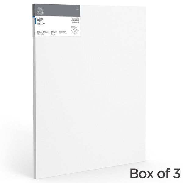 Winsor & Newton Professional Canvas Gallery Deep Edge (1.65") Stretched ...