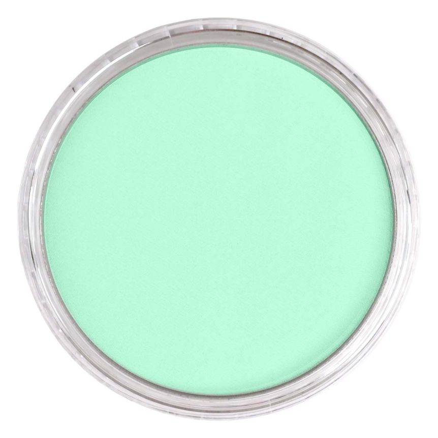 PanPastel® Artists' Pastels - Blue Green Tint, 9 ml | Jerry's Artarama