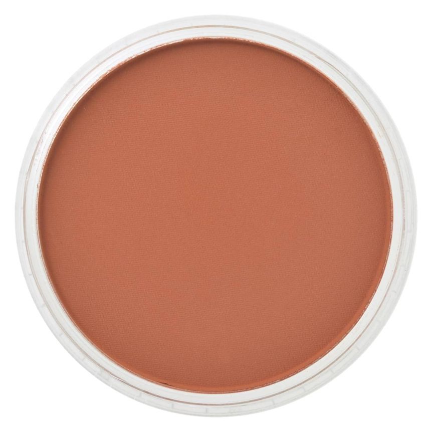 PanPastel® Artists' Pastels - Burnt Sienna, 9 ml | Jerry's Artarama