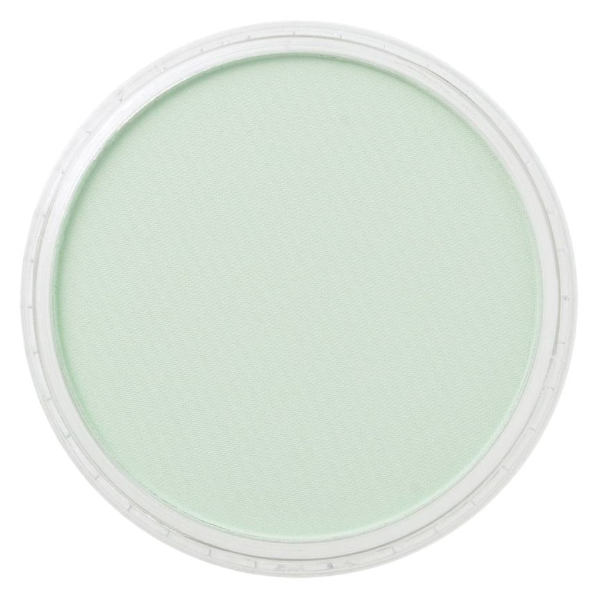 PanPastel® Artists' Pastels - Permanent Green Tint, 9 ml | Jerry's Artarama