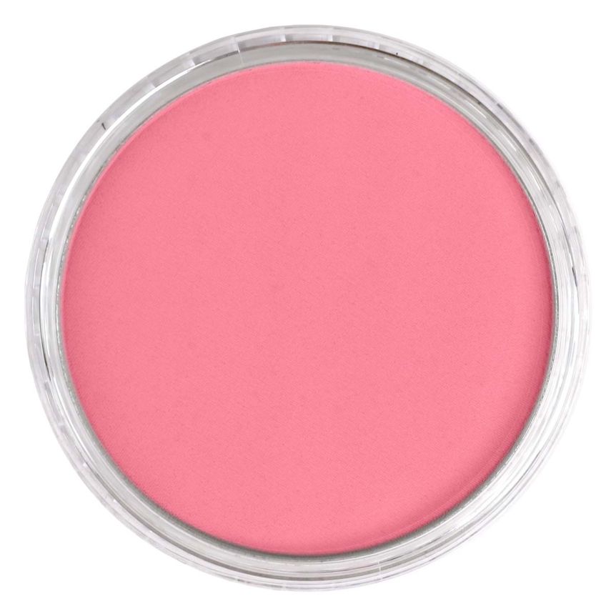 PanPastel® Artists' Pastels - Permanent Red Light, 9 ml | Jerry's Artarama