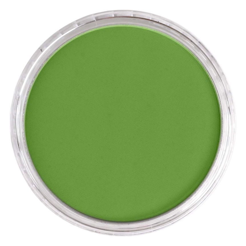PanPastel® Artists' Pastels - Yellow Green Shade, 9 ml | Jerry's Artarama