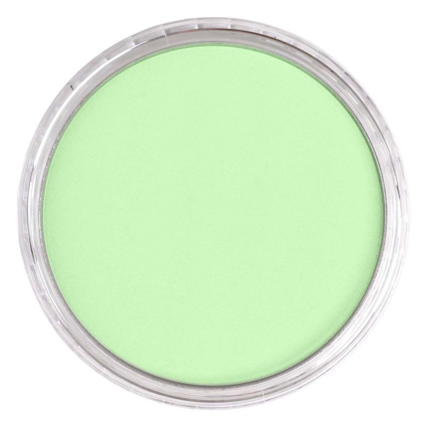 PanPastel® Artists' Pastels - Yellow Green Tint, 9 ml | Jerry's Artarama