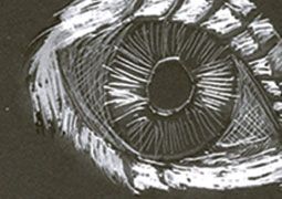 Essdee Scraper Boards | Jerry's Artarama