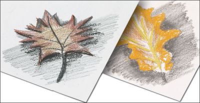 Strathmore 500 Series Drawing Bristol Sheet 25 Packs | Jerry's Artarama