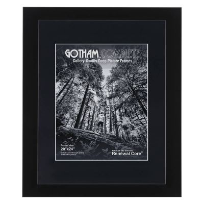 Gotham Black Deep Gallery Frames w/ Glazing & Backing | Jerry's Artarama
