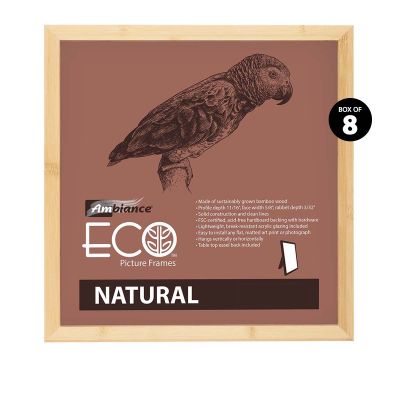 Ambiance Eco Frames | Jerry's Artarama