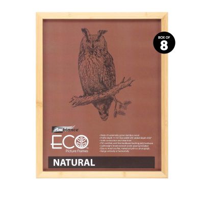 Ambiance Eco Frames | Jerry's Artarama