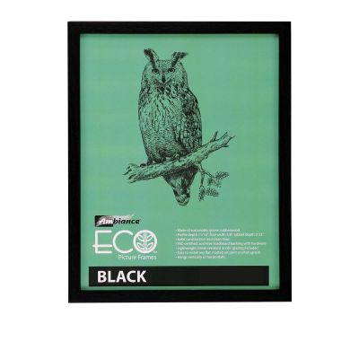 Ambiance Eco Frames | Jerry's Artarama