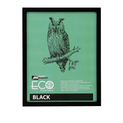 Ambiance Eco Frames | Jerry's Artarama
