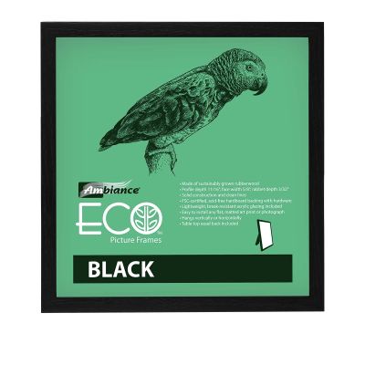 Ambiance Eco Frames | Jerry's Artarama