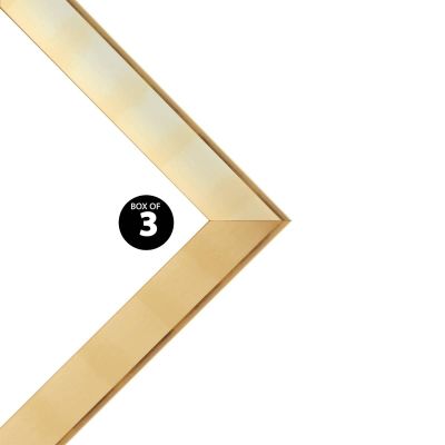 Expositions Frames Open-Back Style | Jerry's Artarama