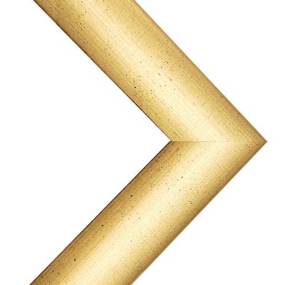 Oklahoma Gold Frames | Jerry's Artarama