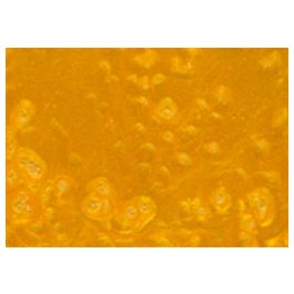 Frida Glass Paint Pearl Effect Glass Paint 500 ml - Dark Yellow | Jerry ...