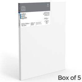 Winsor & Newton Professional Canvas Standard Depth (0.82") Stretched ...