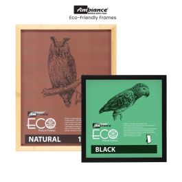 Ambiance Eco Frames | Jerry's Artarama
