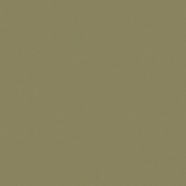 Art Spectrum Smooth Pastel Paper - Olive Green, 19.5"x27.5" (Pack of 10 ...