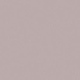 Art Spectrum Smooth Pastel Paper - Rose Grey, 19.5"x27.5" (Pack of 10 ...