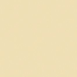 Art Spectrum Smooth Pastel Paper - Sand, 9.5"x12.5" (Pack of 10 ...