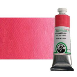 Old Holland Oil Color, Brilliant Pink, 40ml Tube | Jerry's Artarama