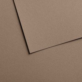 Canson Mi-Teintes Velvet Paper - 613/Grey Brown, 19.69" x 25.6" (Pack ...