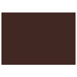 ShinHan Touch Twin Art Marker Broad Chisel/Fine Bullet Tips Chestnut ...