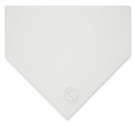 Strathmore 500 Illustration Board, Plate Heavy 20" x 30" (Pack of 10 ...