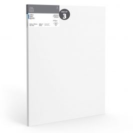 Winsor & Newton Professional Canvas Gallery Deep (1.65") Stretched ...