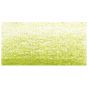 Prismacolor Premier Colored Pencil PC1005 Lime Peel | Jerry's Artarama