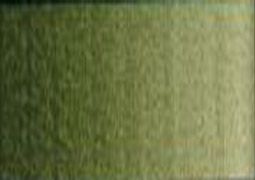 Old Holland Classic Watercolor 18ml - Green Umber | Jerry's Artarama