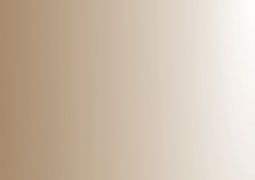 Montana GOLD Acrylic Professional Spray Paint 400 ml - Goldchrome ...