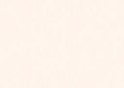 Copic Sketch Marker E000 Pale Fruit Pink | Jerry's Artarama