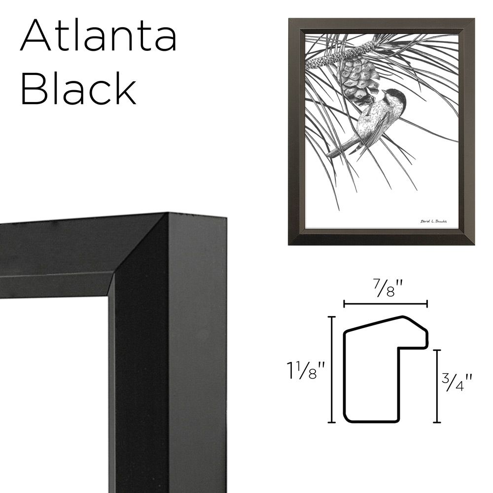 Black Custom Wood Frames | Jerry's Artarama