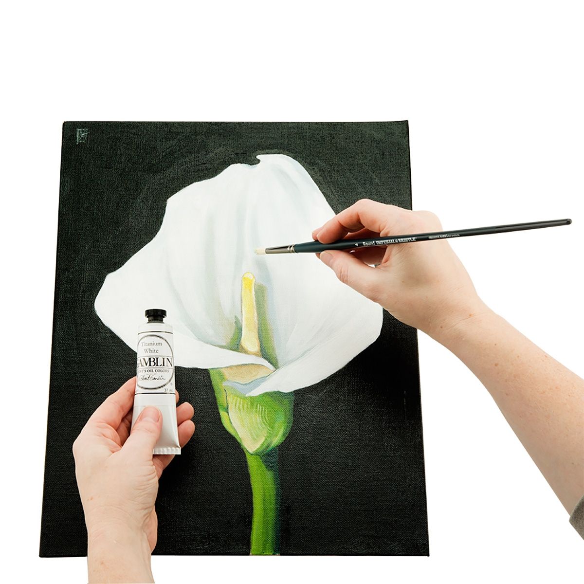 Senso Clear Primed Linen Canvas Roll 72" x 6 Yards | Jerry's Artarama