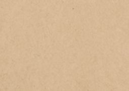 Strathmore 400 Series Recycled Toned Sketch Paper - 19"x24" Tan (25 ...