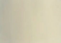 Shiva Artist's Paintstik? - Beige | Jerry's Artarama