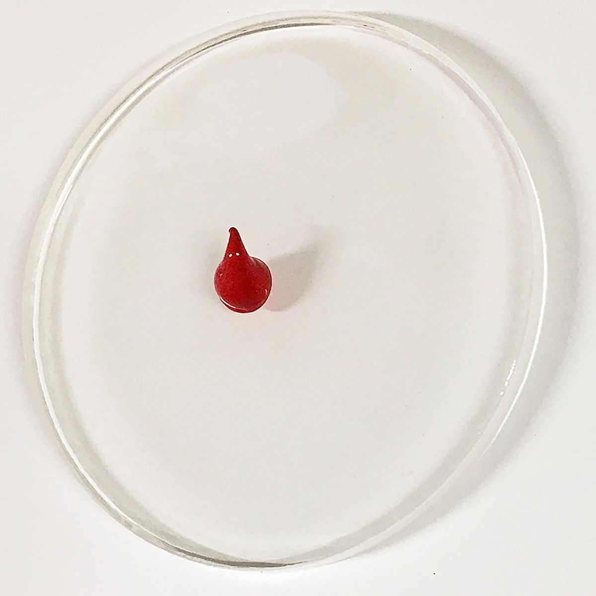 Gelli Arts 4 Round, Gel Printing Plate | Jerry's Artarama