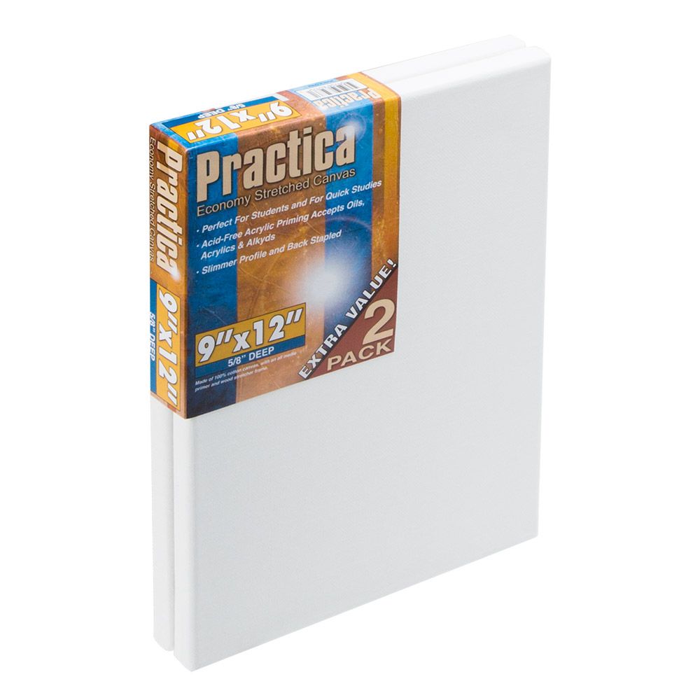 Practica Economy Stretched Cotton Canvas 9"x12" (Pack of 2) | Jerry's ...