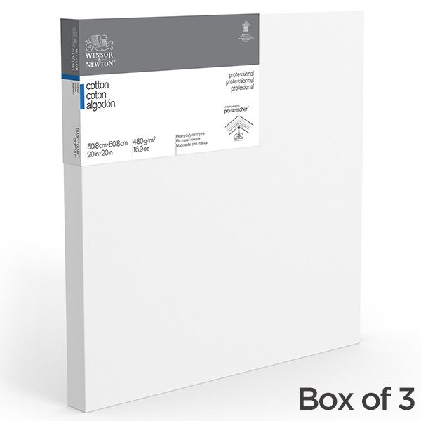 Winsor & Newton Deep Edge Canvas - 50x100cm For Sale Winsor & Newton ...