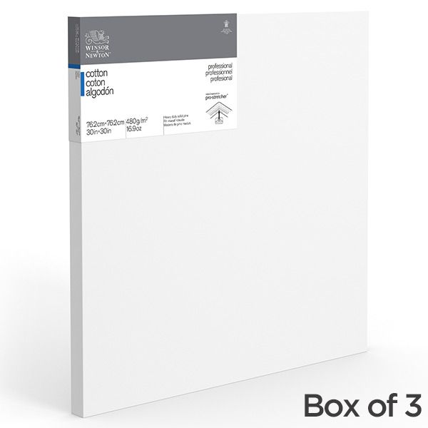 Winsor & Newton Professional Canvas Gallery Deep Edge (1.65") Stretched ...