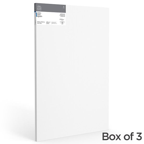 Winsor & Newton Professional Canvas Gallery Deep Edge (1.65") Stretched ...