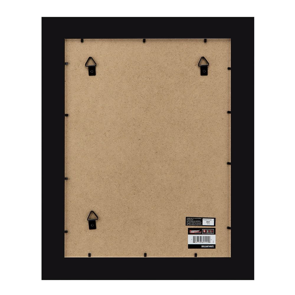 Ambiance Studio Wood Frame, Black 18"x24" with Plexi Glazing | Jerry's ...