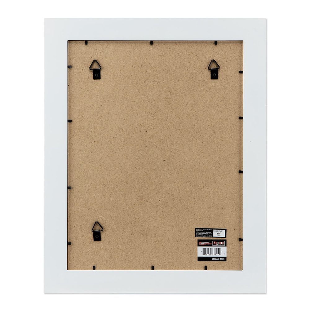 Ambiance Studio Wood Frame, White 18"x24" with Plexi Glazing | Jerry's ...