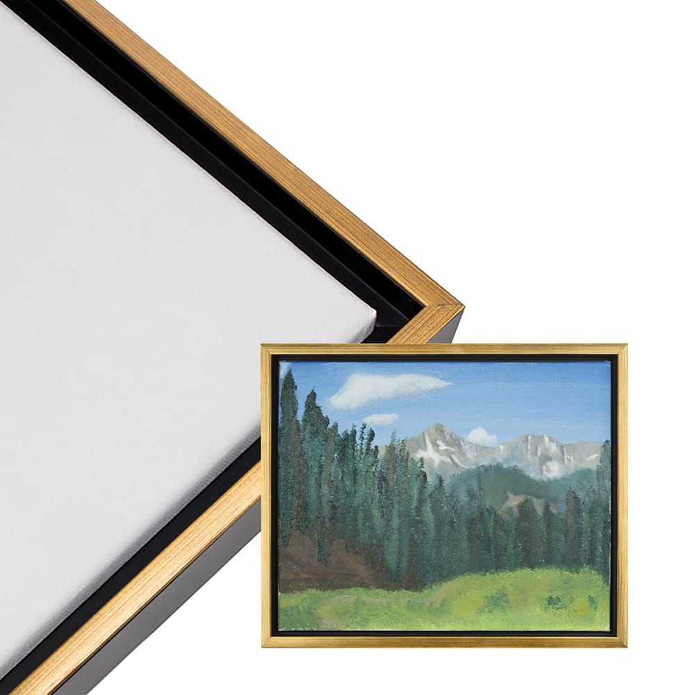 Cardinali Floater Frame - Black/Antique Gold 14"x18", Open Back , 3/4 ...
