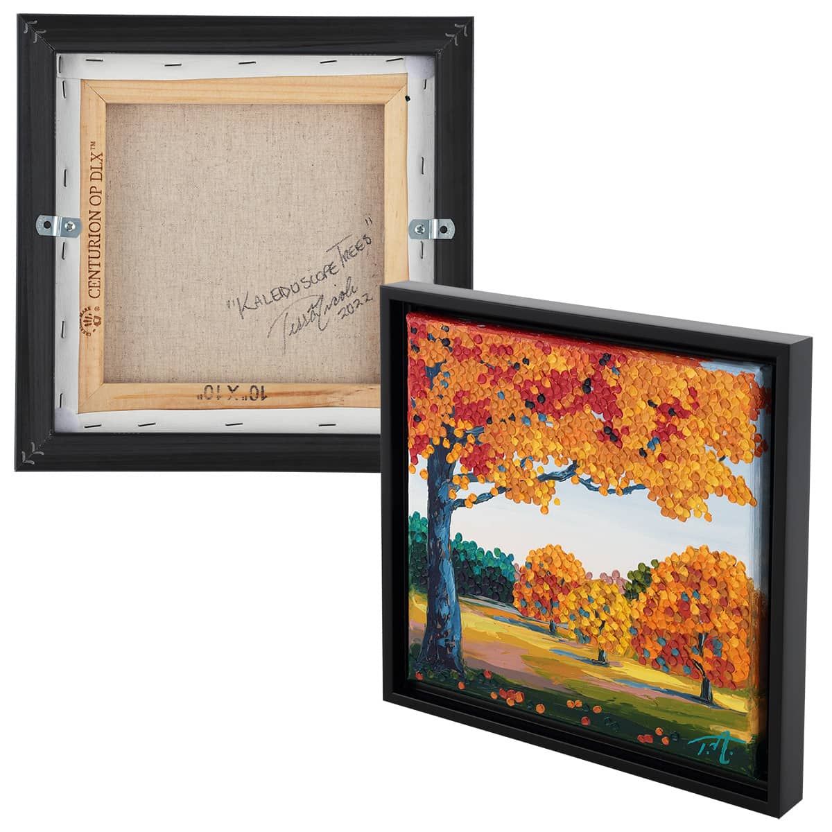 Cardinali Floater Frame - Black 16"x16" (Box of 6), 3/4" Deep | Jerry's ...