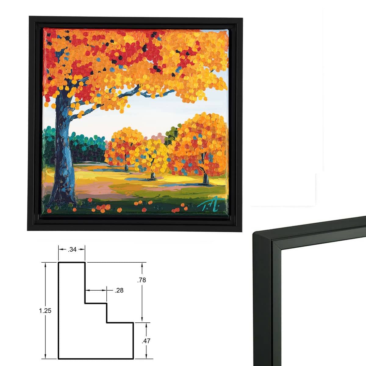 Cardinali Floater Frame - Black 10"x10", 3/4" Deep | Jerry's Artarama