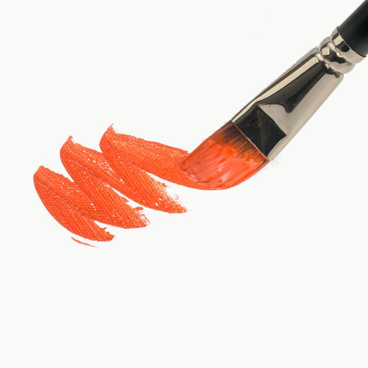 Black Swan Value Brush Set of 12 Brushes with Zippered Brush Easel Case ...