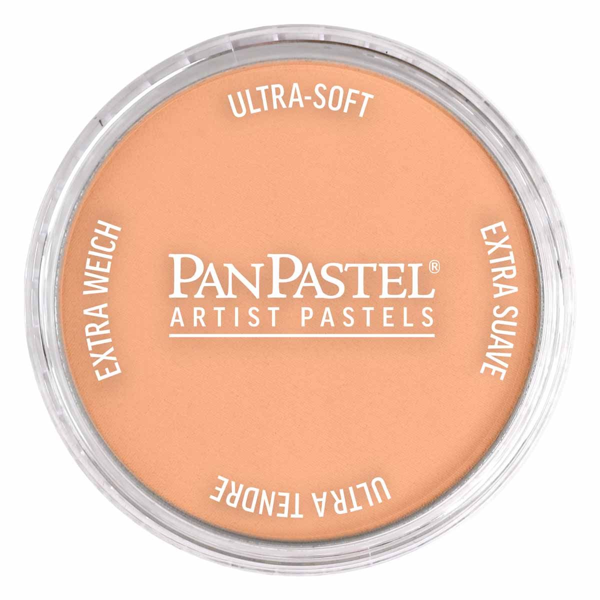 PanPastel® Artists' Pastels - Burnt Sienna Light, 9 ml | Jerry's Artarama