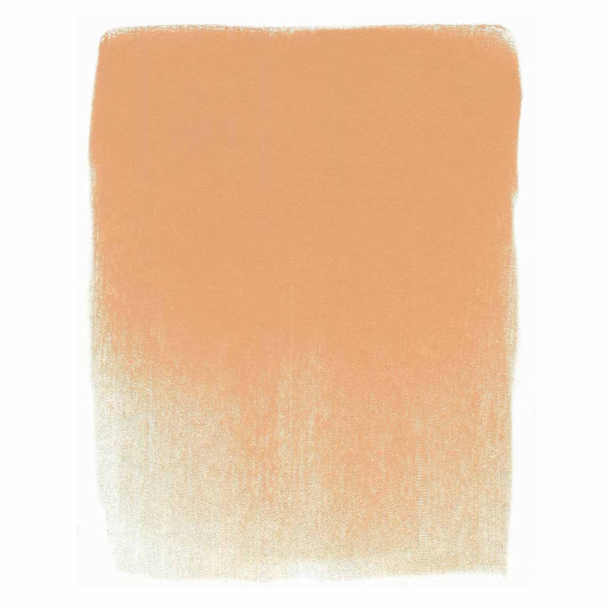 PanPastel® Artists' Pastels - Burnt Sienna Light, 9 ml | Jerry's Artarama