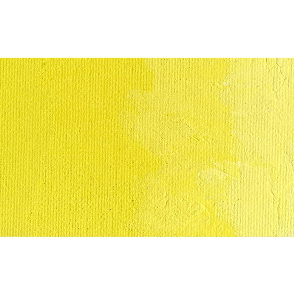 Williamsburg Handmade Oil Paint - Cadmium Lemon, 237ml Can | Jerry's ...
